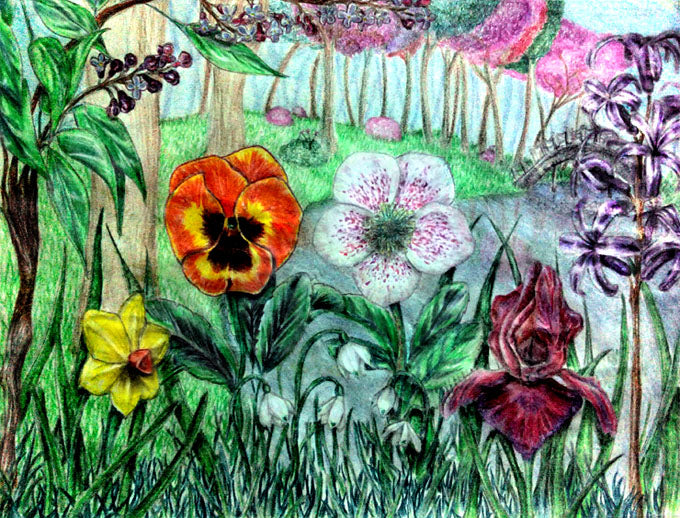Drawing Spring Flowers - How to Draw Spring Flowers For the Beginner ...