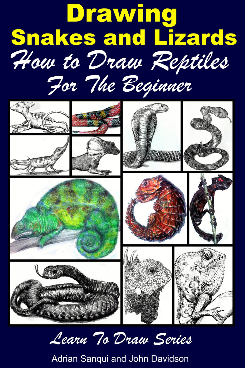 Drawing Snakes and Lizards - How to Draw Reptiles For the Beginner ...