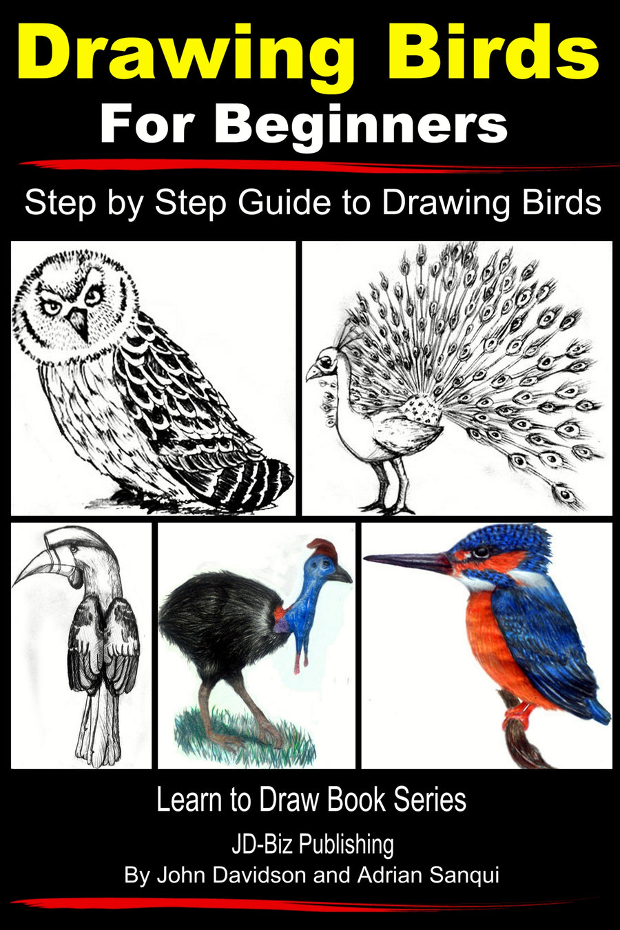 Drawing Birds for Beginners: Step by Step Guide to Drawing Birds ...