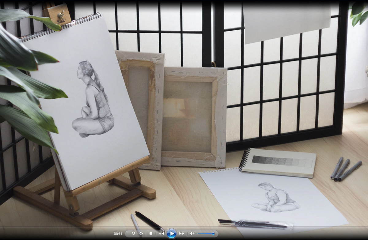 Learn How to Draw - 30 Hour Video Training Course + 30 Learn to Draw B ...