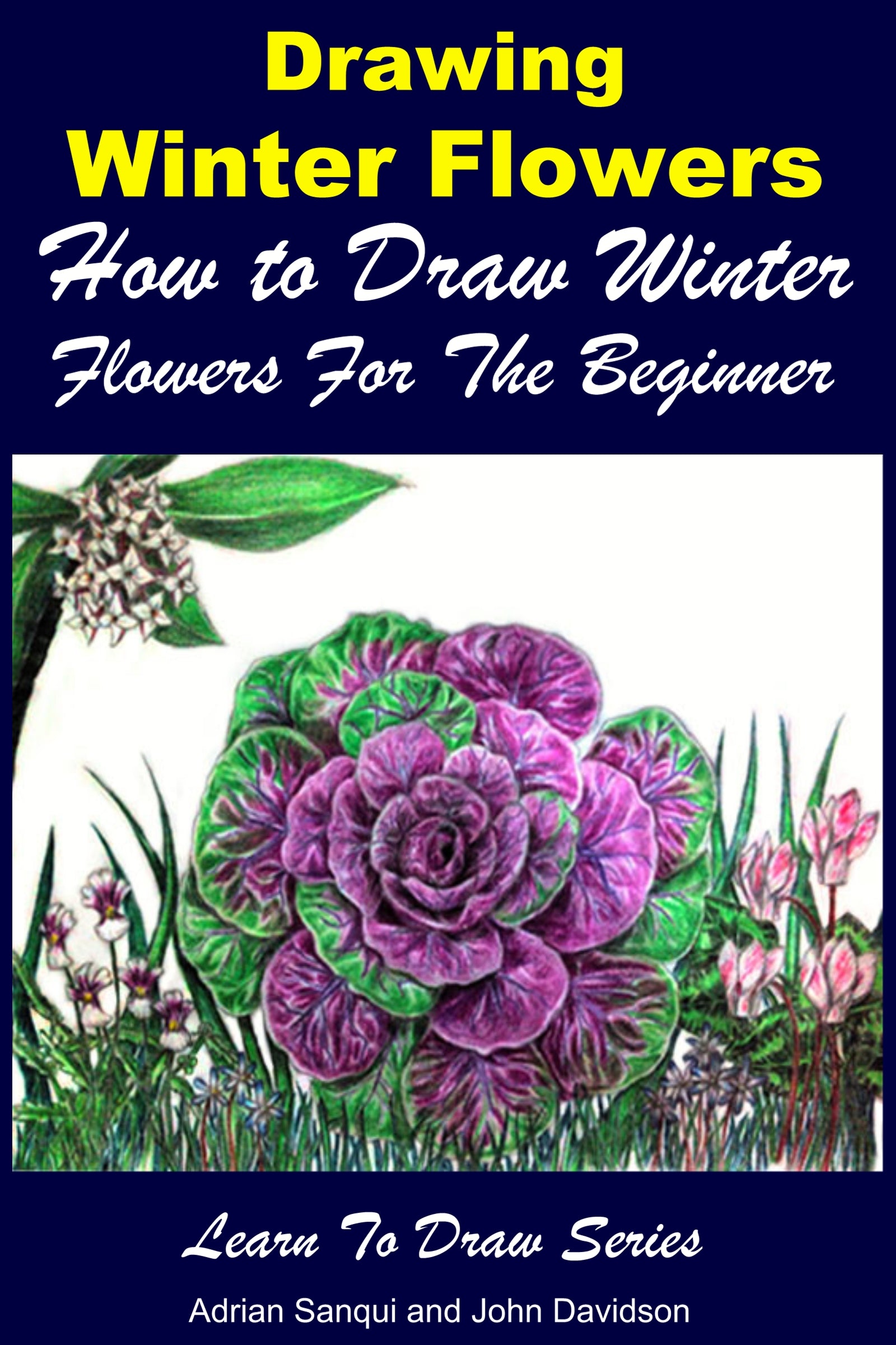 Drawing Winter Flowers - How to Draw Winter Flowers for The Beginner ...
